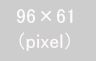 96×61